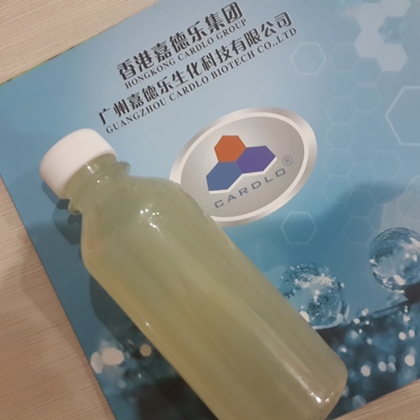 Pengemulsi Roti Sertifikat HACCP